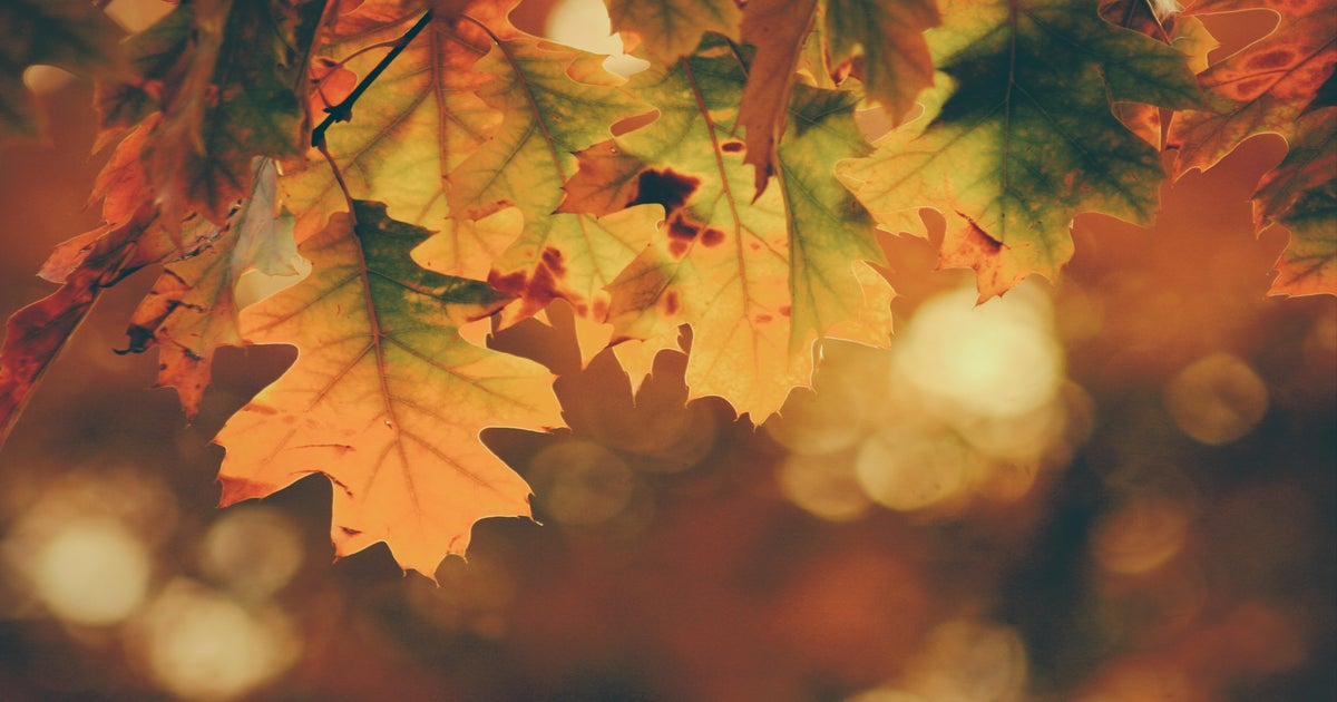 My Top 10 Reasons Why Fall is the BEST Season