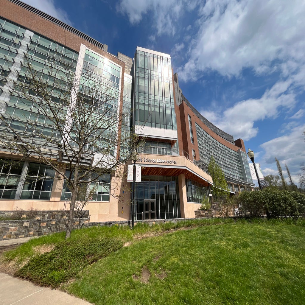 A UMass Scavenger Hunt: Places On Campus I Had Never Seen Before As A ...