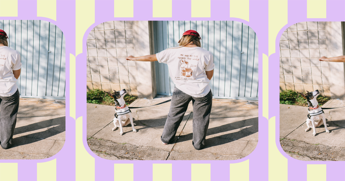 Through "Puppy Raising Clubs," College Students Are Training Future ...