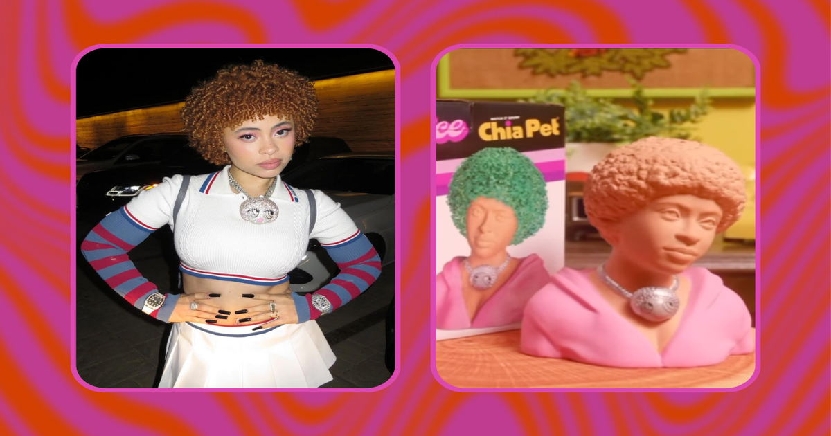 Need A Holiday Gift Idea? Try An Ice Spice Chia Pet