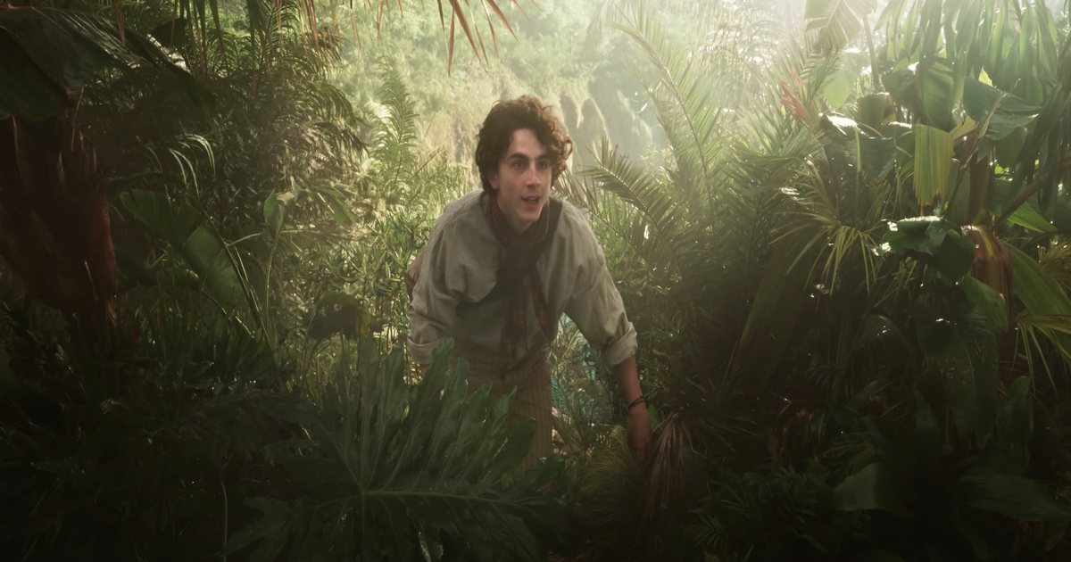 Timothée Chalamet’s ‘Wonka’ Movie: Trailer, Release Date, Cast, & Plot