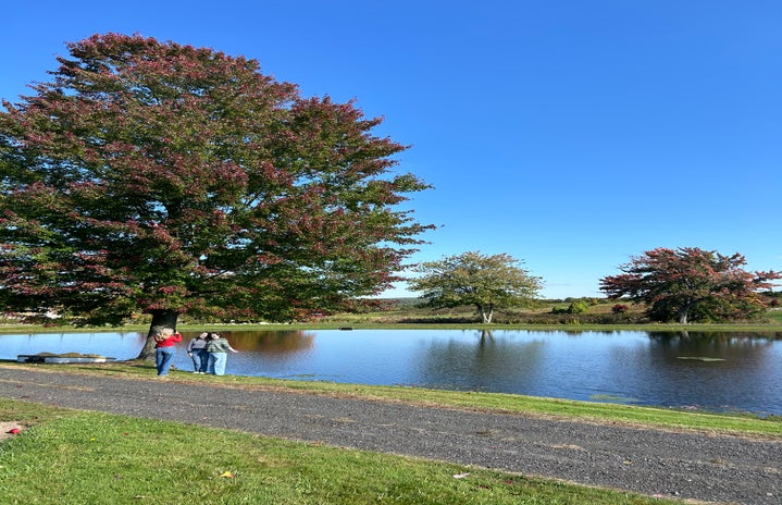 5 Fall Activities For UConn Students