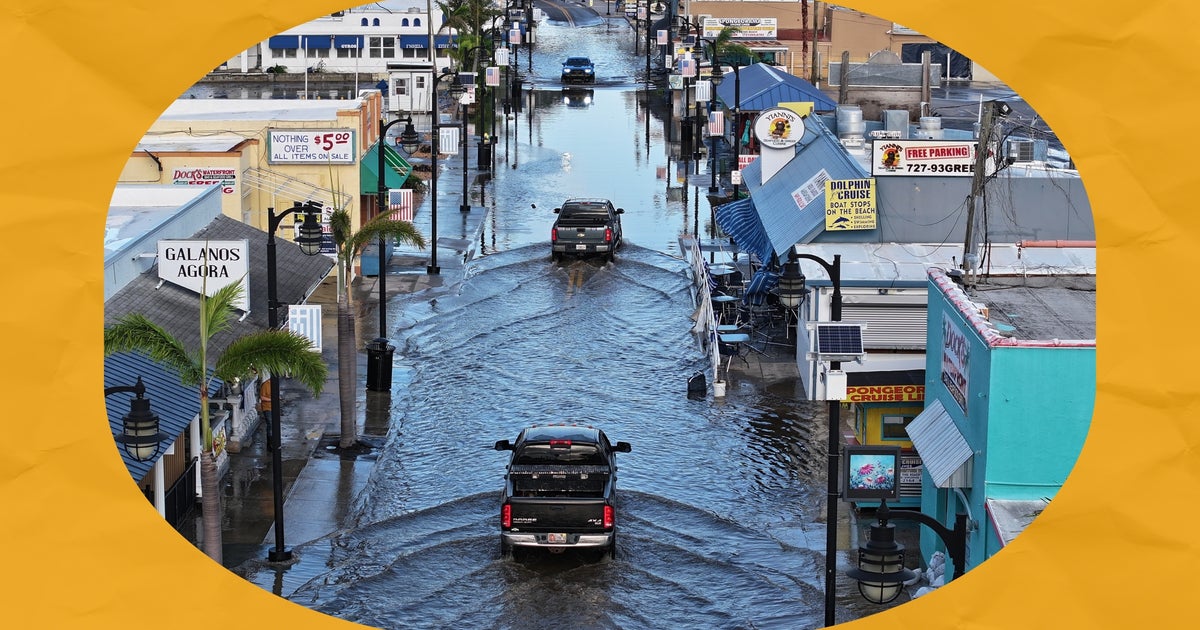 How College Students Help With Hurricane Helene Relief Efforts How College Students Help With Hurricane Helene Relief Efforts