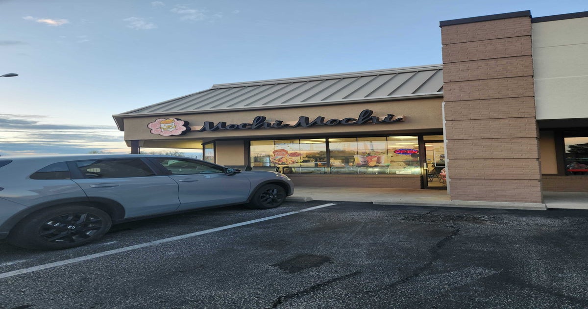 Donuts, Sushi, and Milk Teas: Mochi Mochi Review