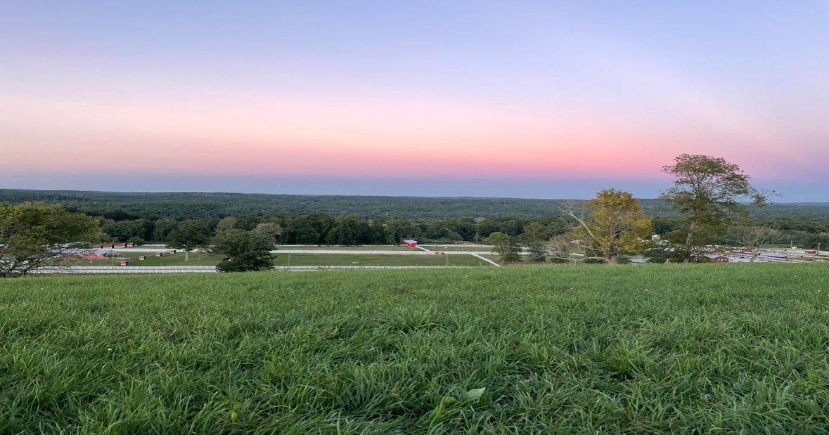 Spring in Connecticut: Fun Activities To Do Outside As The Weather ...