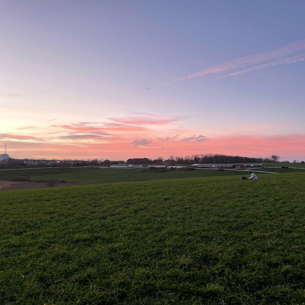 The Top 10 Things I Did That Made My Freshman Year At UConn Worthwhile