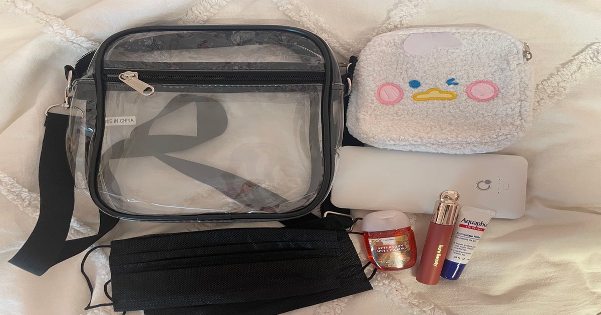 What's In My Bag: Concert Bag Edition