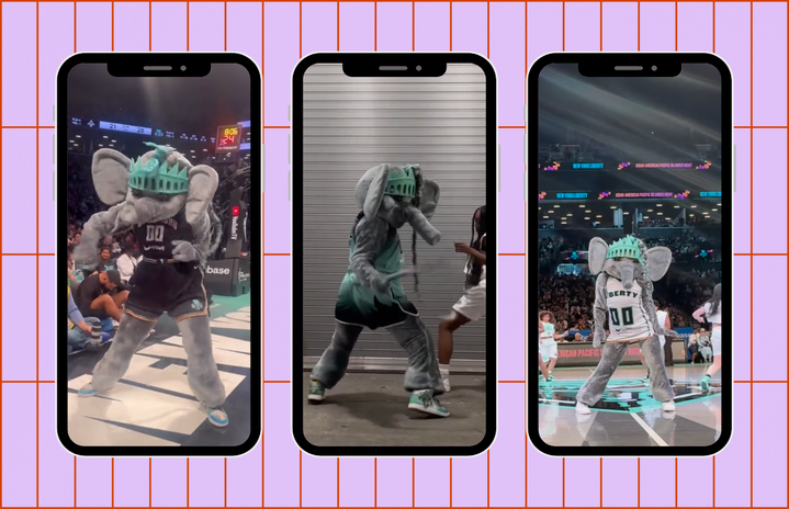 Who Is Ellie The Elephant? Meet The WNBA's Rising Star