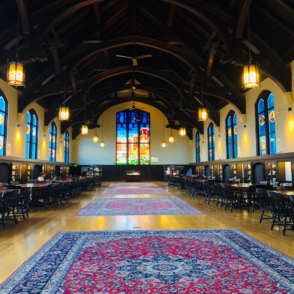 Meet David Rose: Dean's Postdoctoral Scholar at FSU