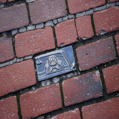 What are the Boston Bricks?