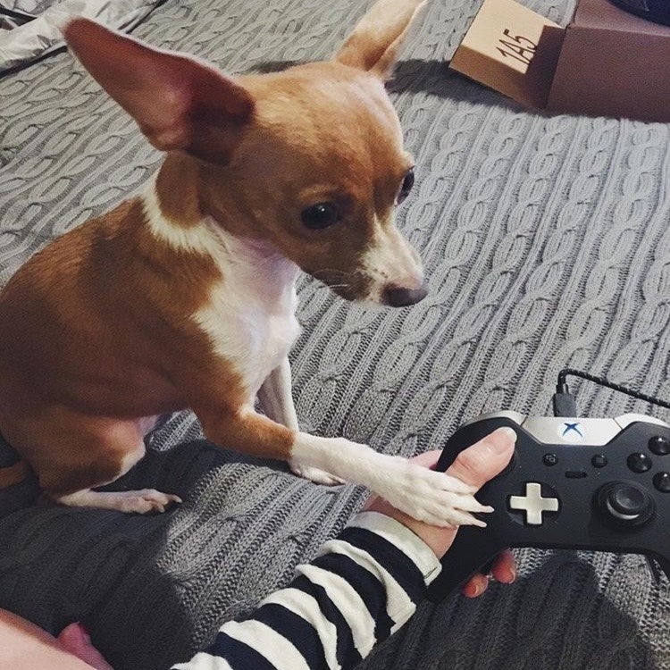 Xbox’s Amanda Lui Is Bringing Girl Power to Gaming — Here's How She ...