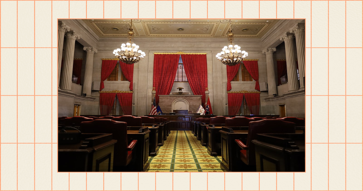 Gen Z, You Should Be Paying Attention To The Tennessee House Expulsion
