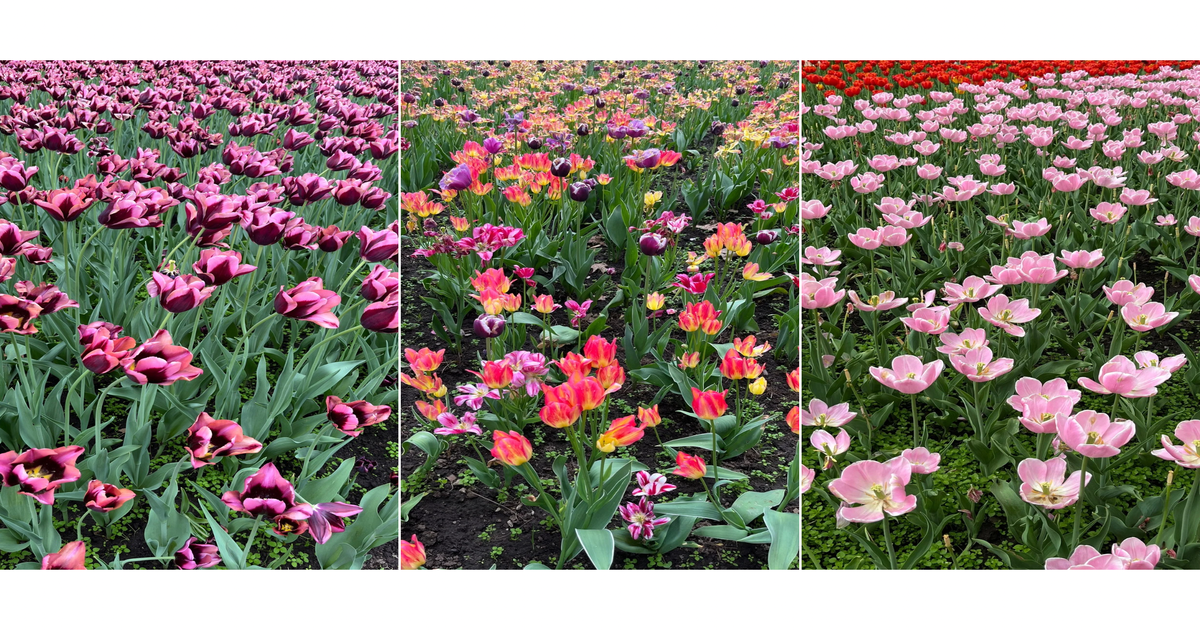 Ten Things to do in Ottawa